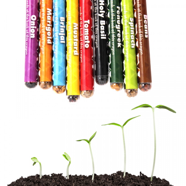 Alt-Eco (Colour) Plantable Crayons - Green Ard
